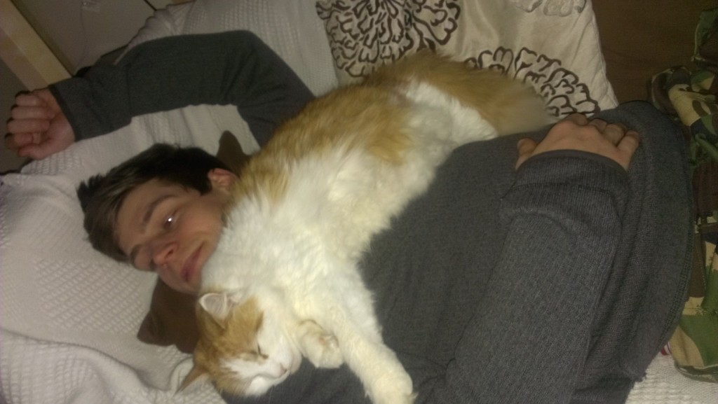 Neil Dayus, Wickham - Greenbarn Cattery